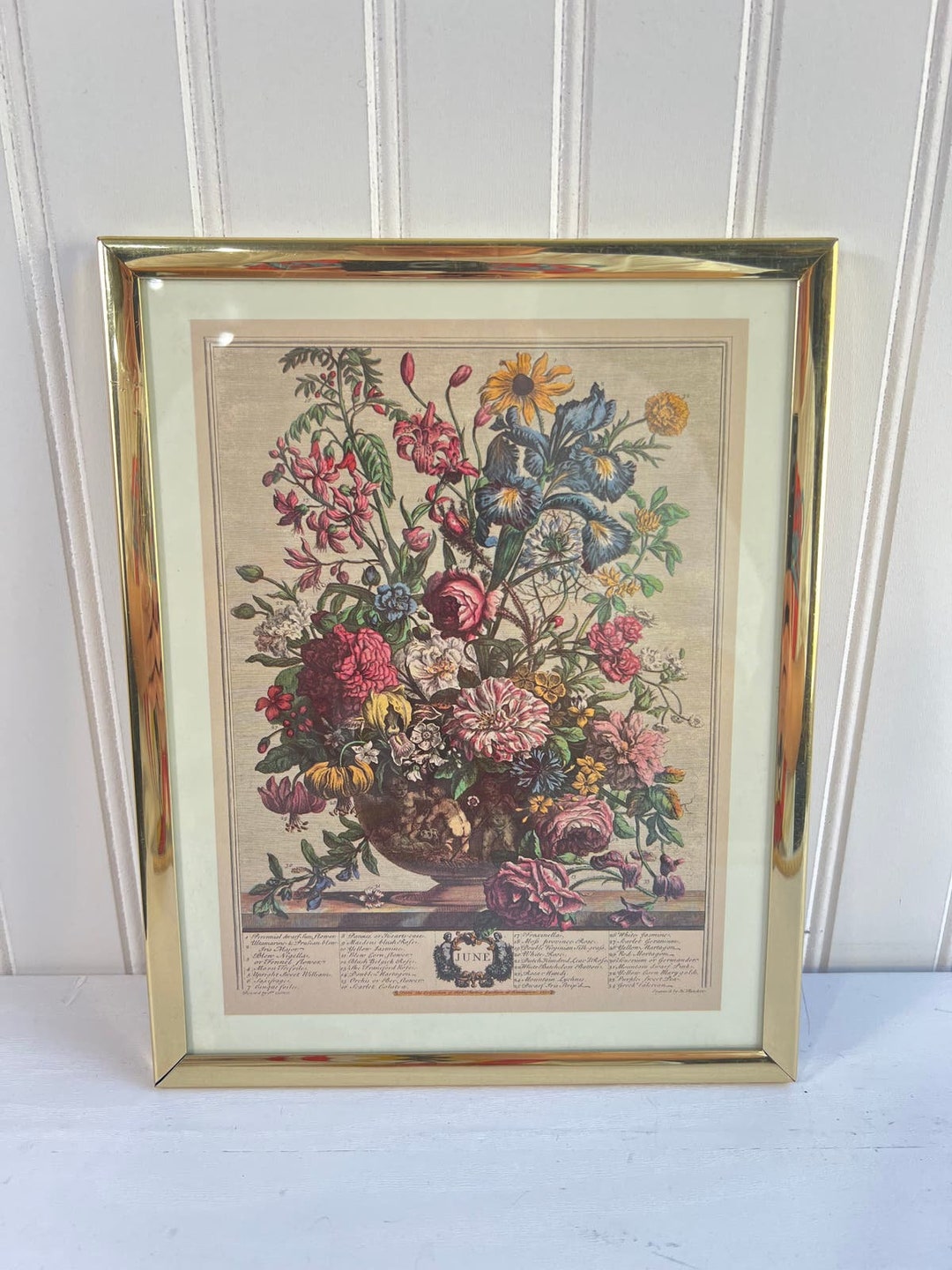 Vintage Robert Furber Flower of the Month JUNE Gold Framed Floral Print ...