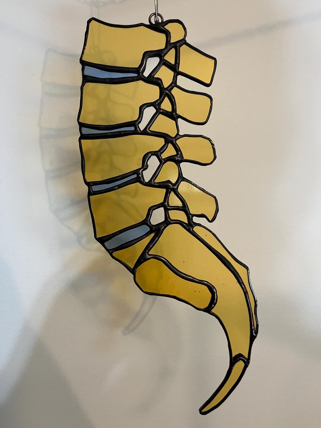 Stained Glass Lumbar Spine & Sacrum - Etsy Canada