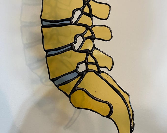 Stained Glass Lumbar Spine & Sacrum - Etsy