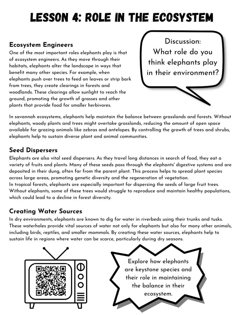 Elephant Animal Unit Study Elementary Ages 9 -12 - Etsy