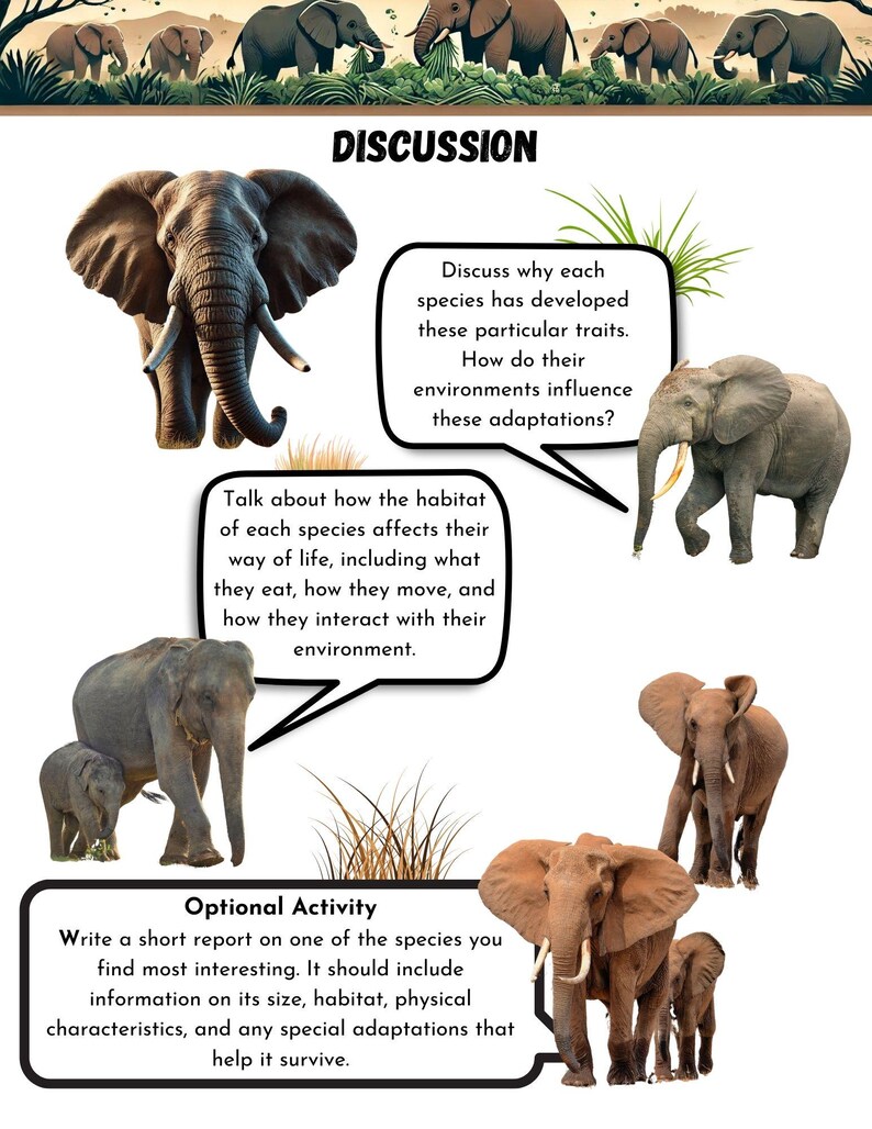 Elephant Animal Unit Study Elementary Ages 9 -12 - Etsy