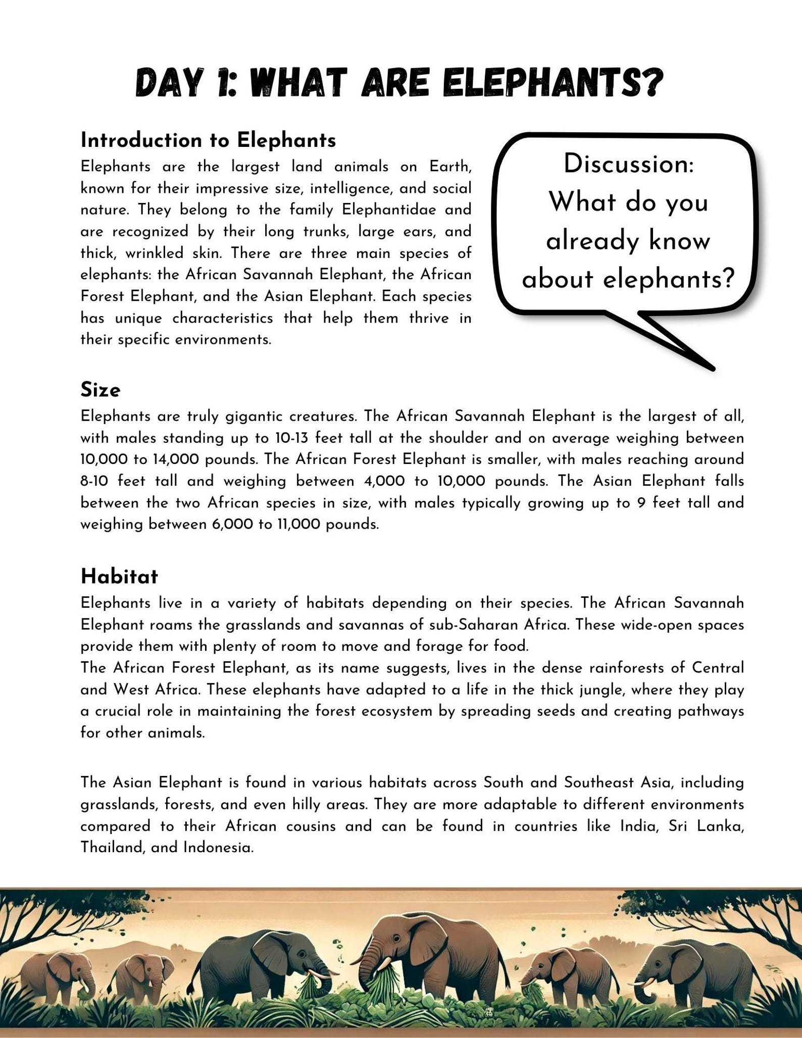 Elephant Animal Unit Study Elementary Ages 9 -12 - Etsy