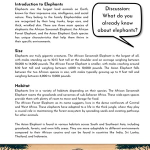 Elephant Animal Unit Study Elementary Ages 9 -12 - Etsy