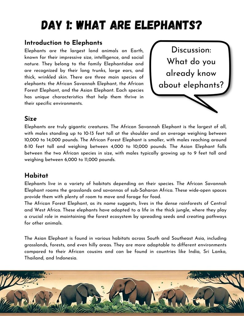 Elephant Animal Unit Study Elementary Ages 9 -12 - Etsy