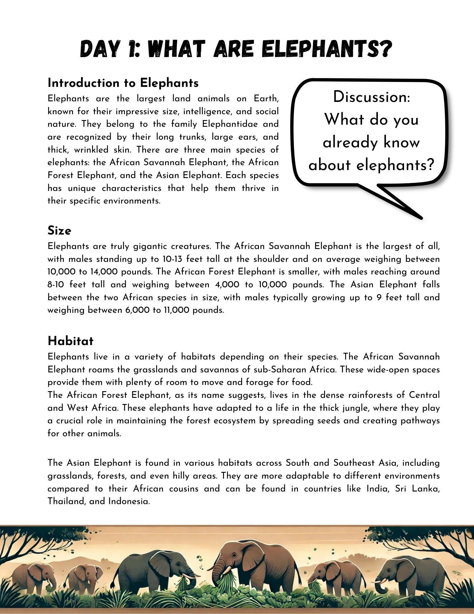 Elephant Animal Unit Study Elementary Ages 9 -12 - Etsy