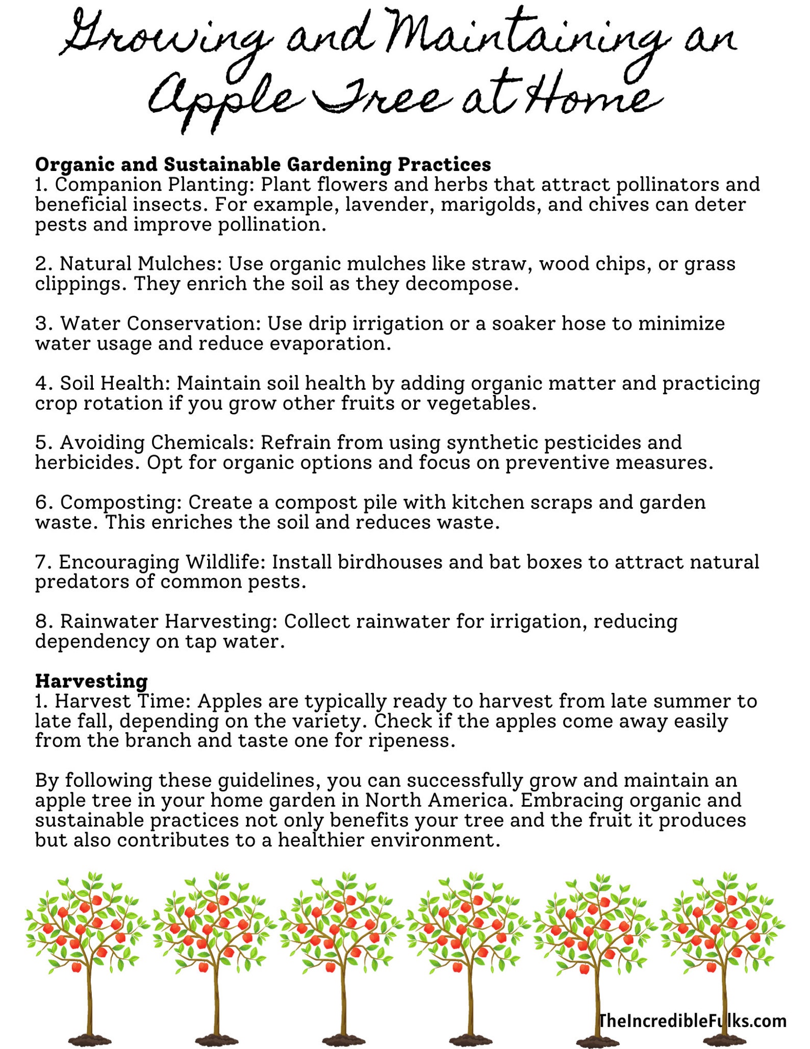 National Apple Tree Day Pack - Etsy