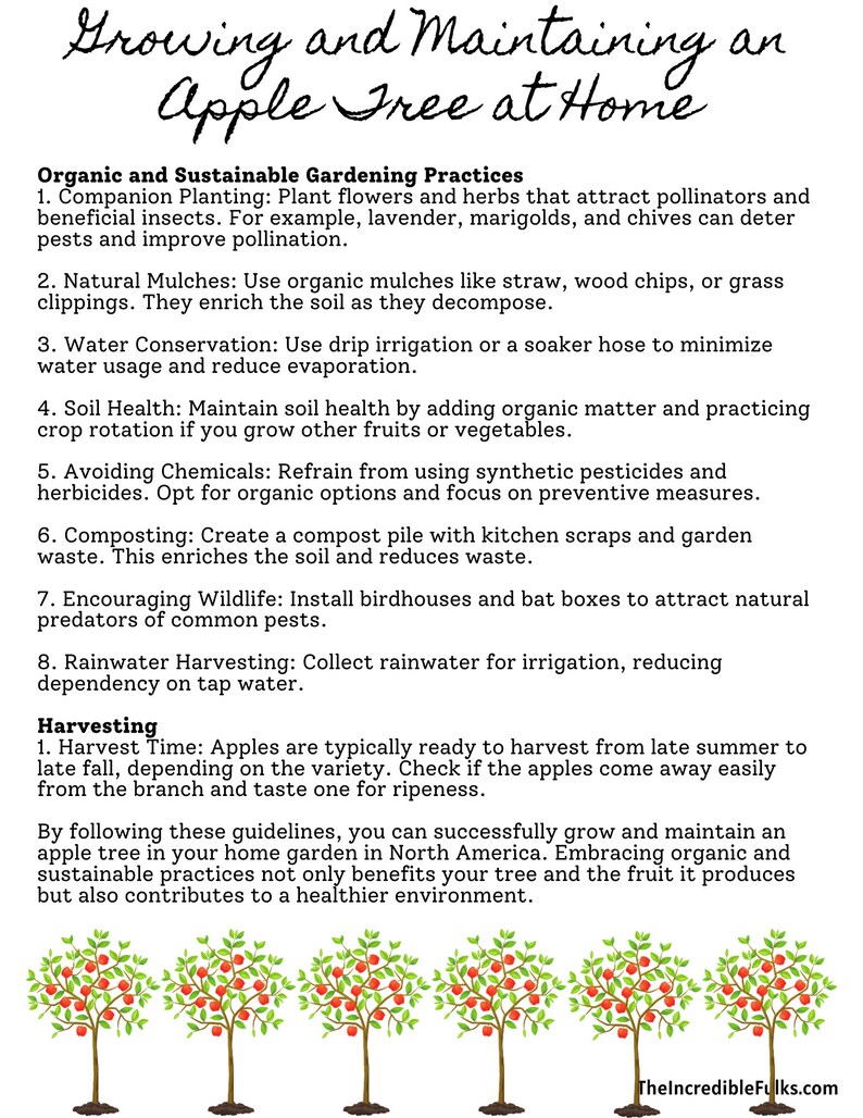 National Apple Tree Day Pack - Etsy