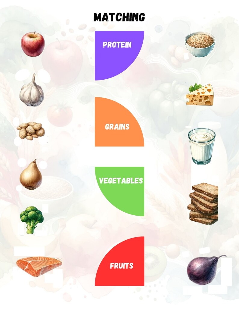 Let's Eat Right Food Group Learning Pack - Etsy