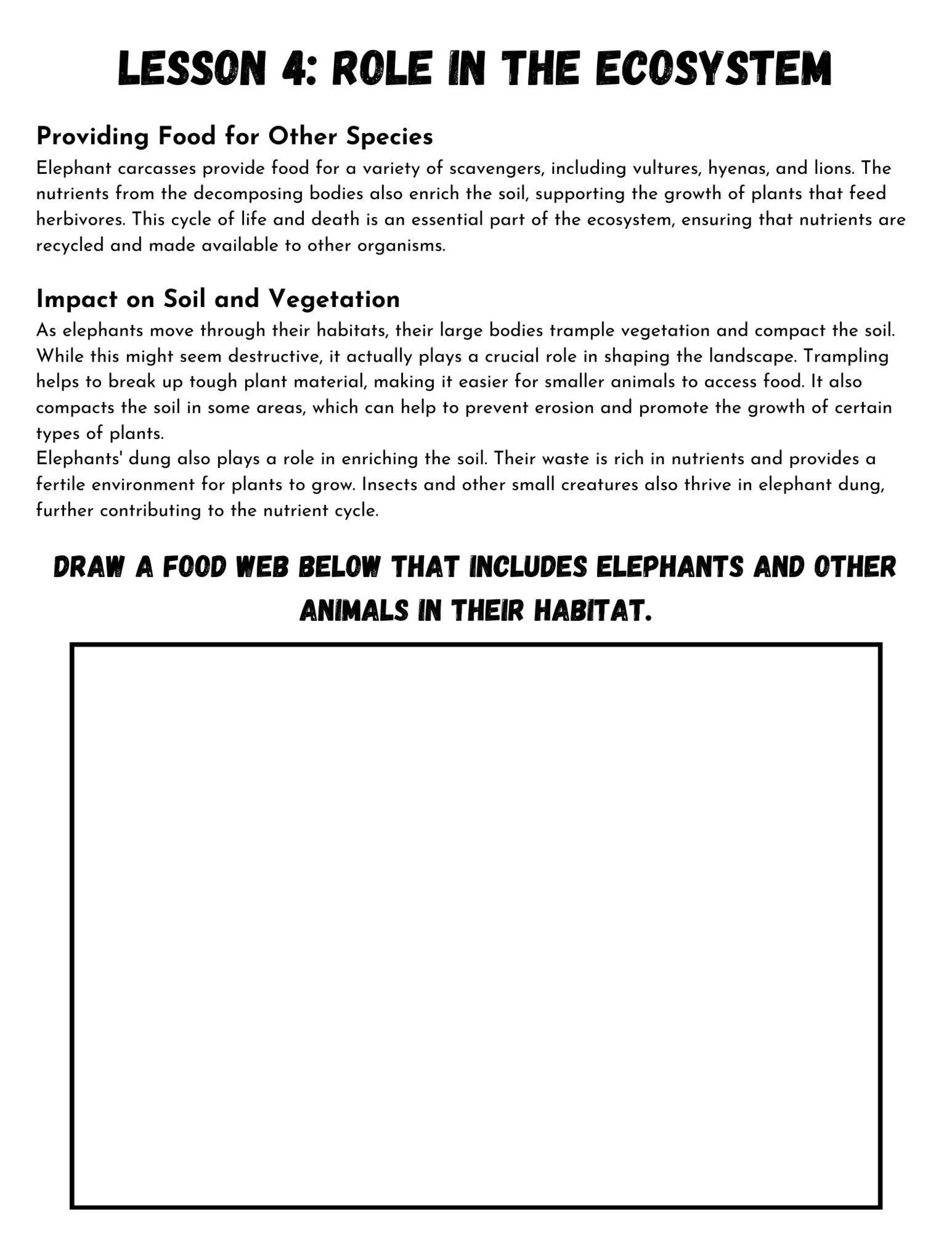 Elephant Animal Unit Study Elementary Ages 9 -12 - Etsy
