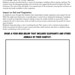 Elephant Animal Unit Study Elementary Ages 9 -12 - Etsy
