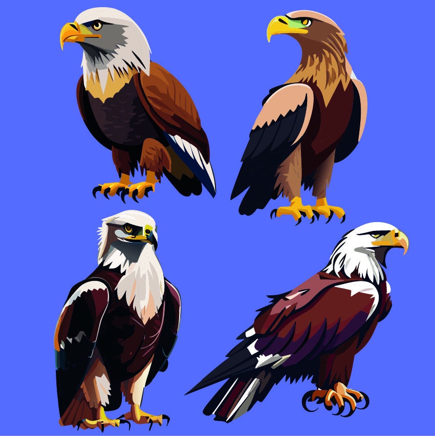 Eagle PNG and SVG Format Digital Download Eagle Head Eagle Scout ...