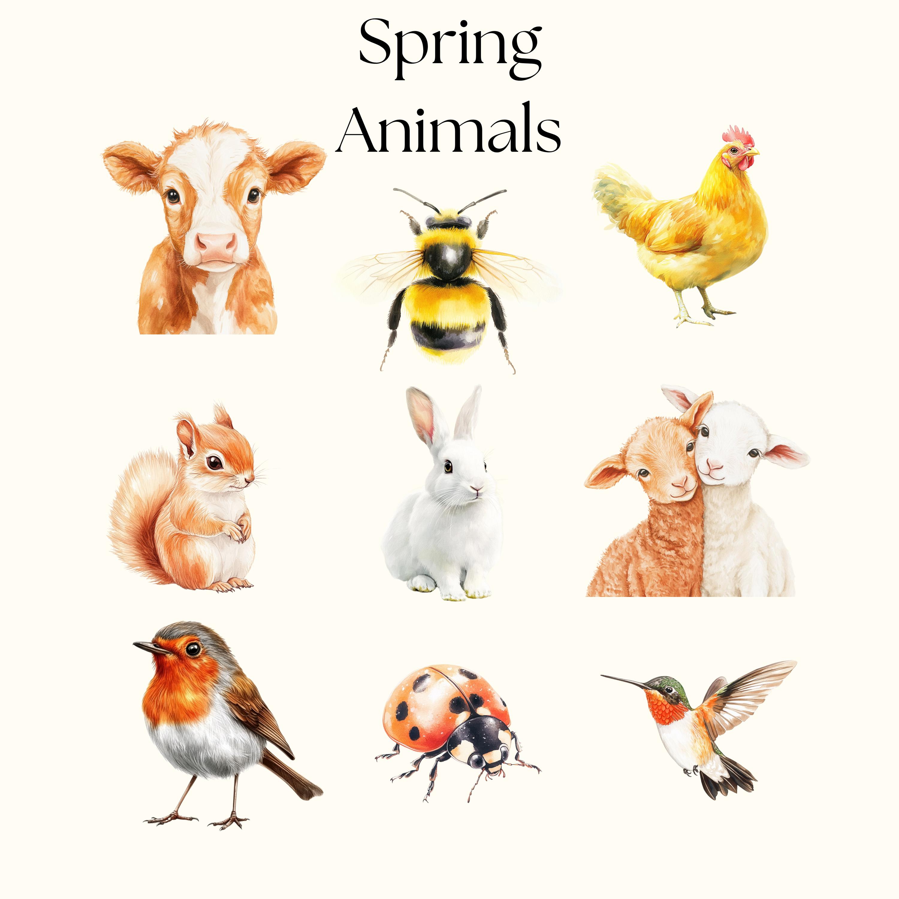 Spring Animals Clip Art Bundle Cute Chicks Clipart PNG Collection ...