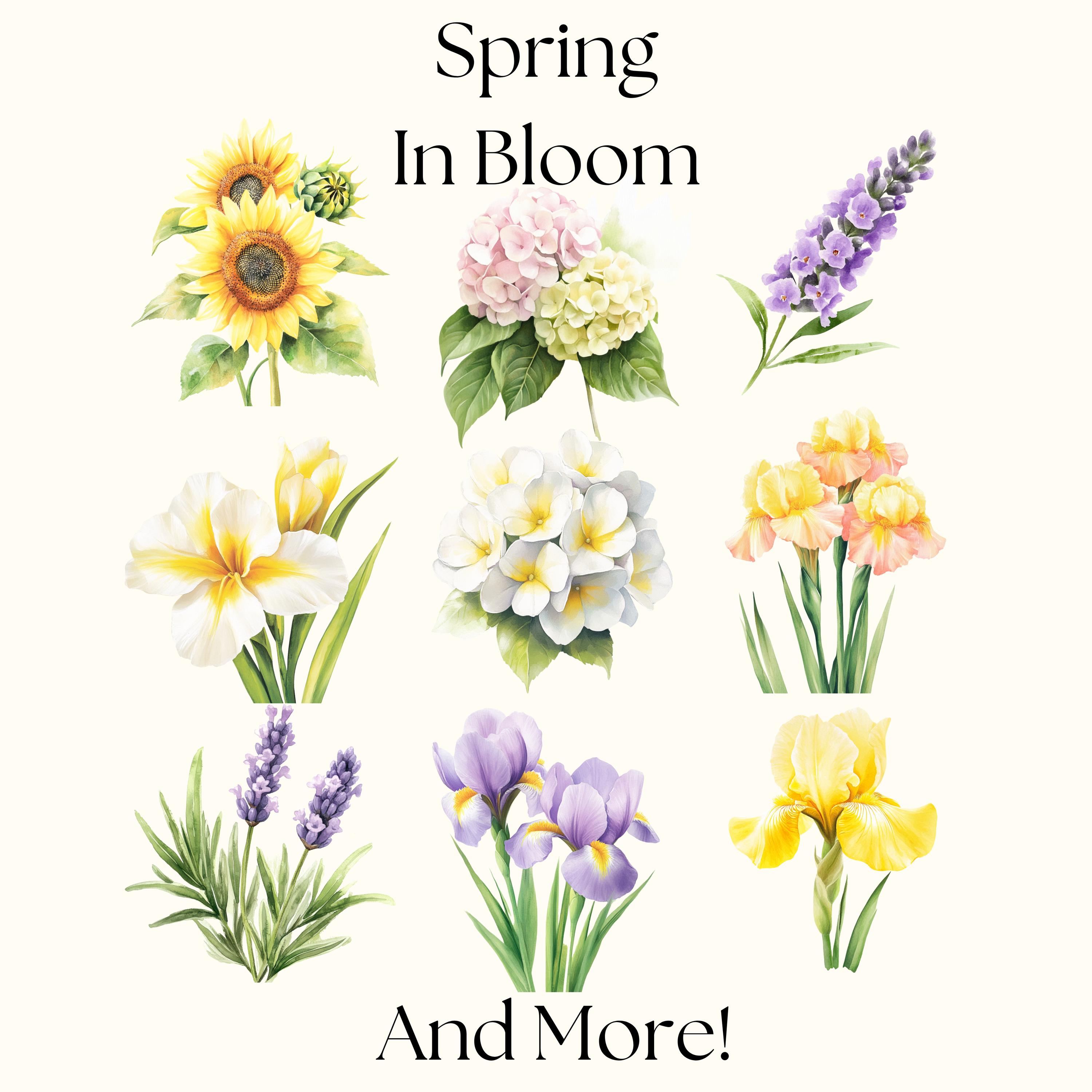 Spring Flowers Clip Art Bundle Floral Clipart PNG Collection Watercolor ...