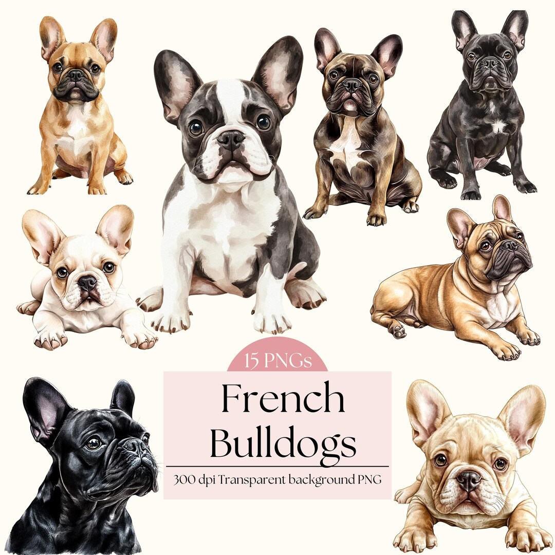 French Bulldogs Clip Art Bundle Dogs Clipart PNG Collection Watercolor ...