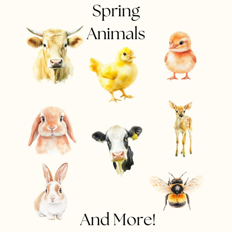 Spring Animals Clip Art Bundle Cute Chicks Clipart PNG Collection ...