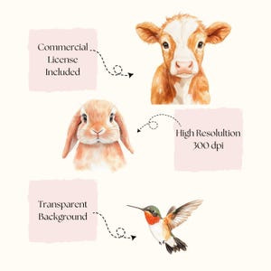 Spring Animals Clip Art Bundle Cute Chicks Clipart PNG Collection ...