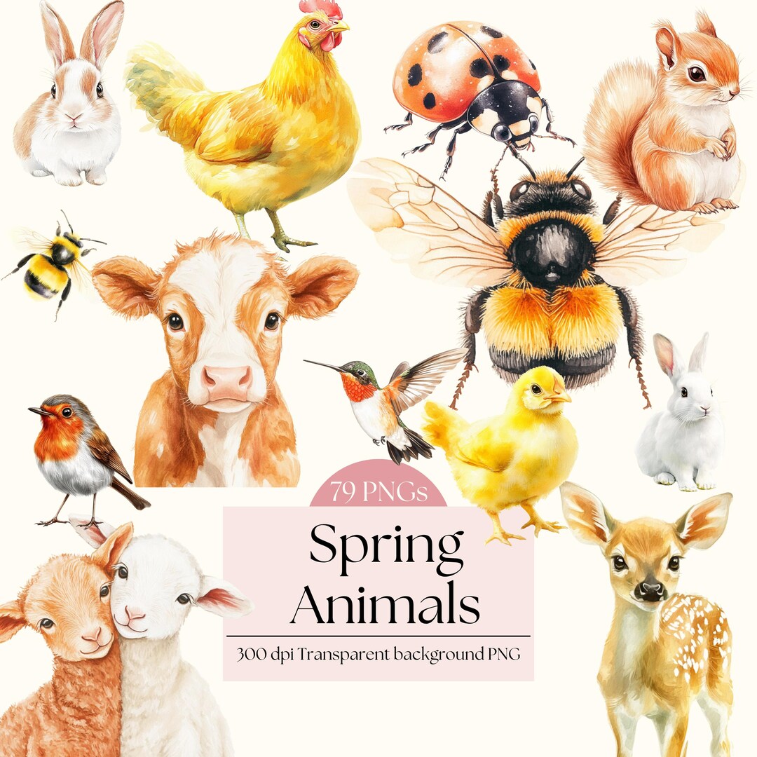 Spring Animals Clip Art Bundle Cute Chicks Clipart PNG Collection ...