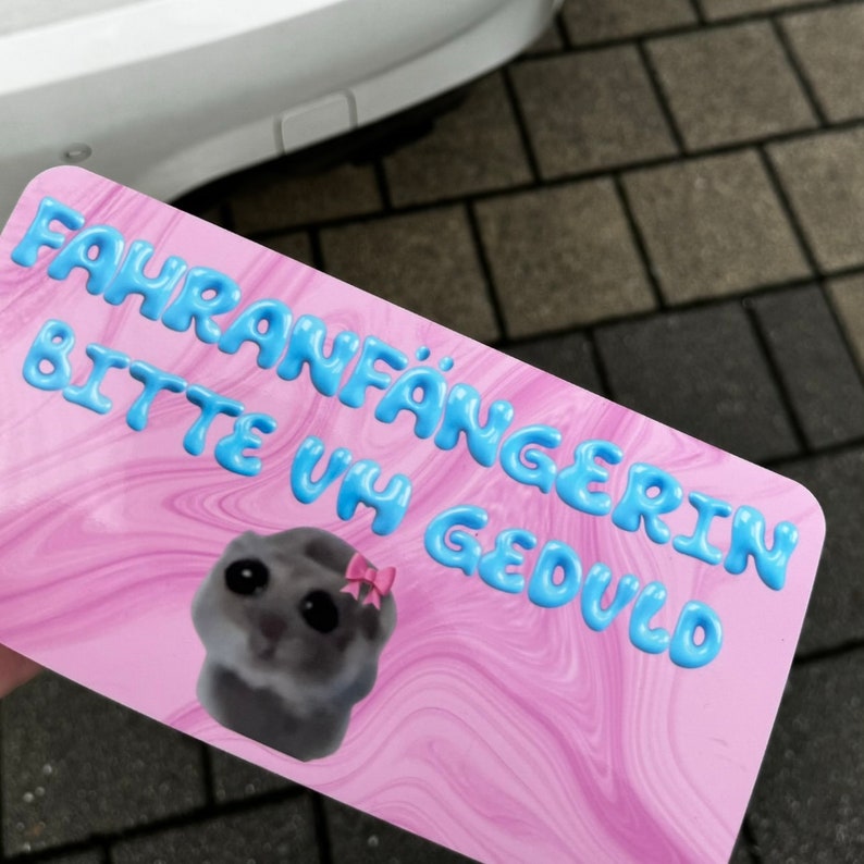 Sad Hamster Car Magnet Novice Driver Sign Pink Blue Funny Meme Magnet ...