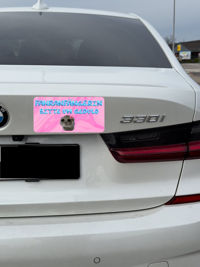 Sad Hamster Car Magnet Novice Driver Sign Pink Blue Funny Meme Magnet ...
