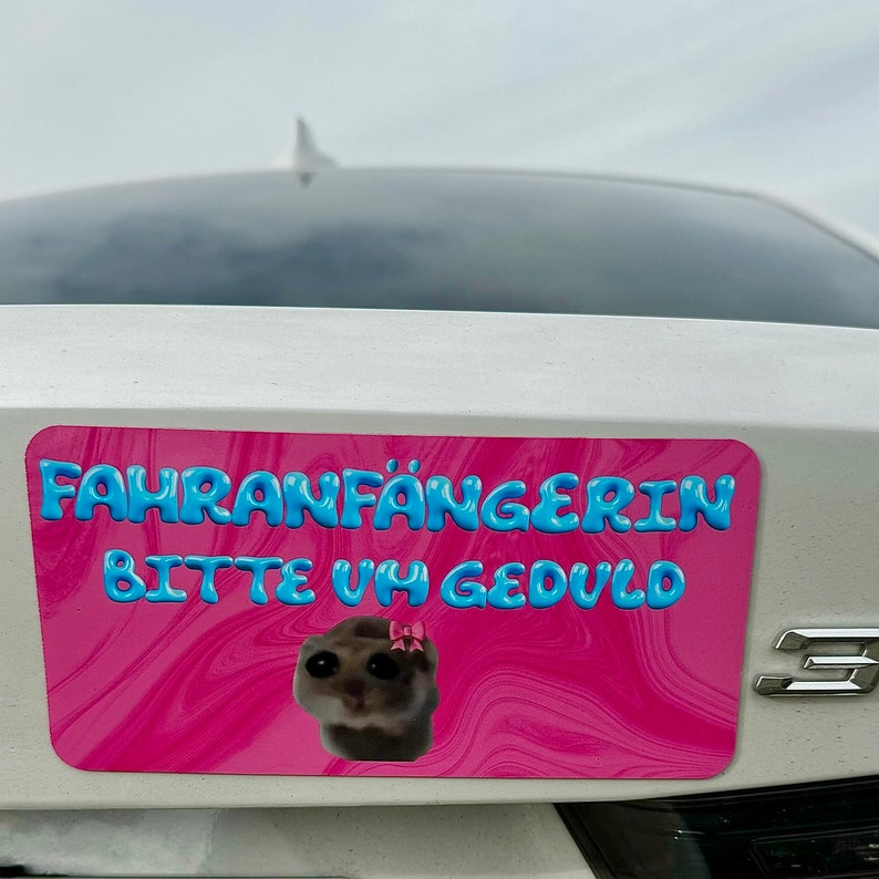 Sad Hamster Car Magnet | New Driver Sign Pink Blue | Funny Meme Magnet ...