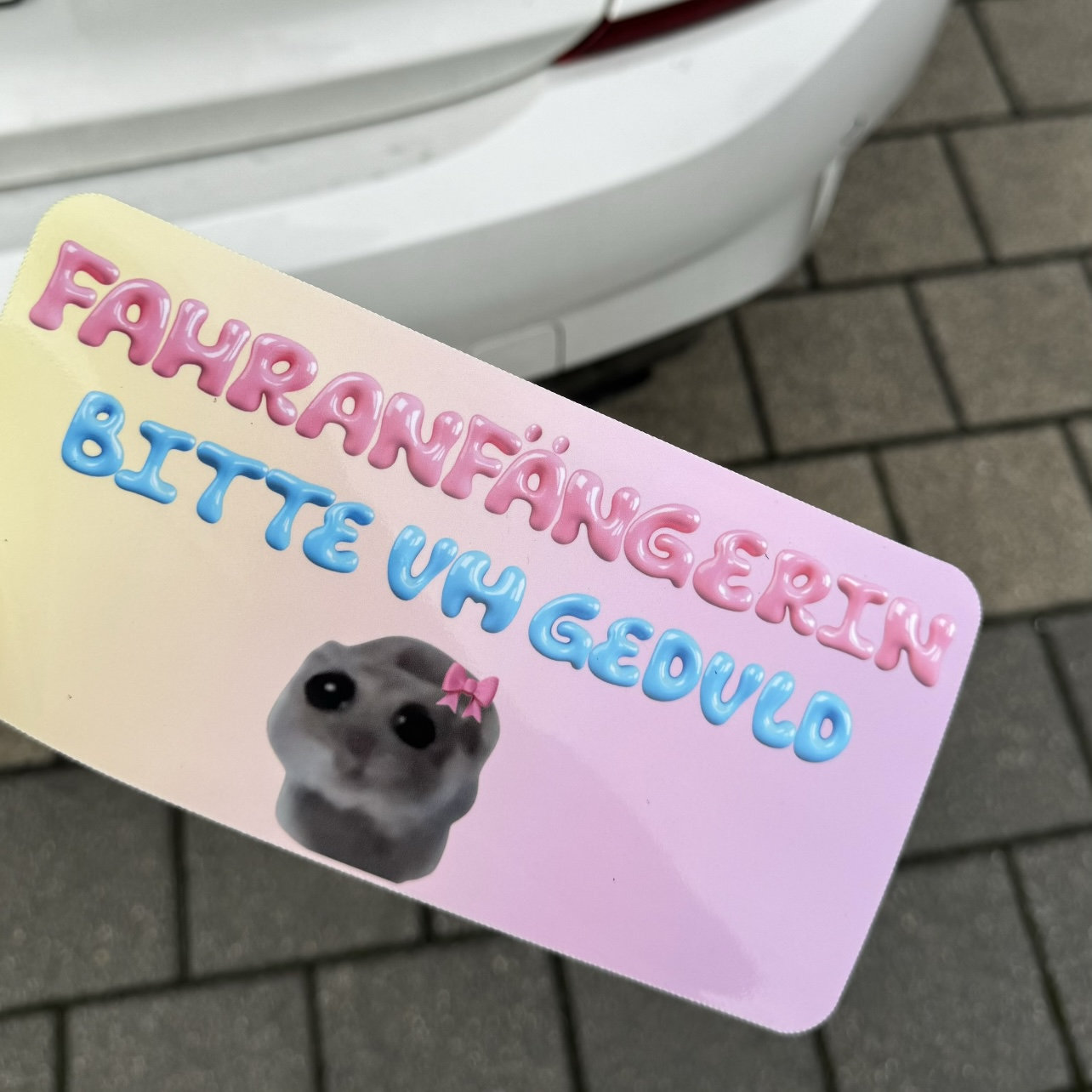 Sad Hamster Car Magnet Novice Driver Sign Yellow Pink Funny Meme Magnet ...