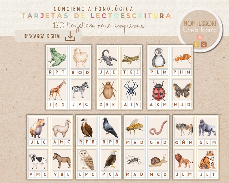 Tarjetas Educativas Animales Conciencia Fonológica Lectura y ...