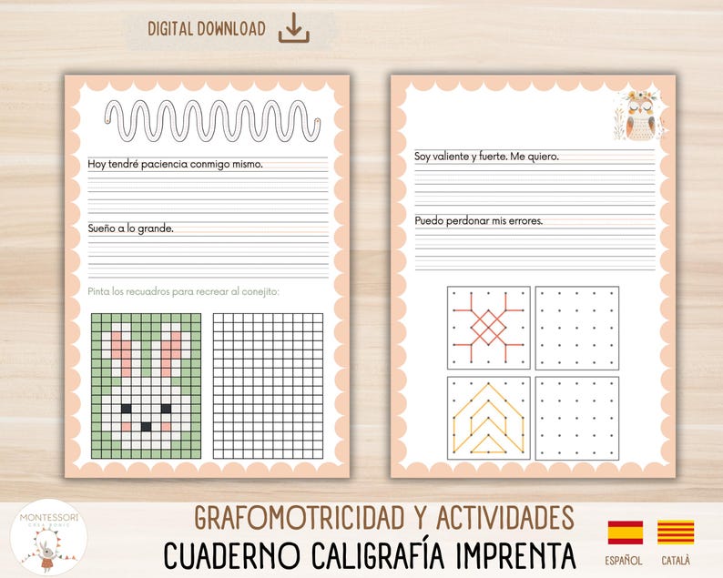 Calligraphy and Graphomotor Skills Workbook in Print. Activities for ...