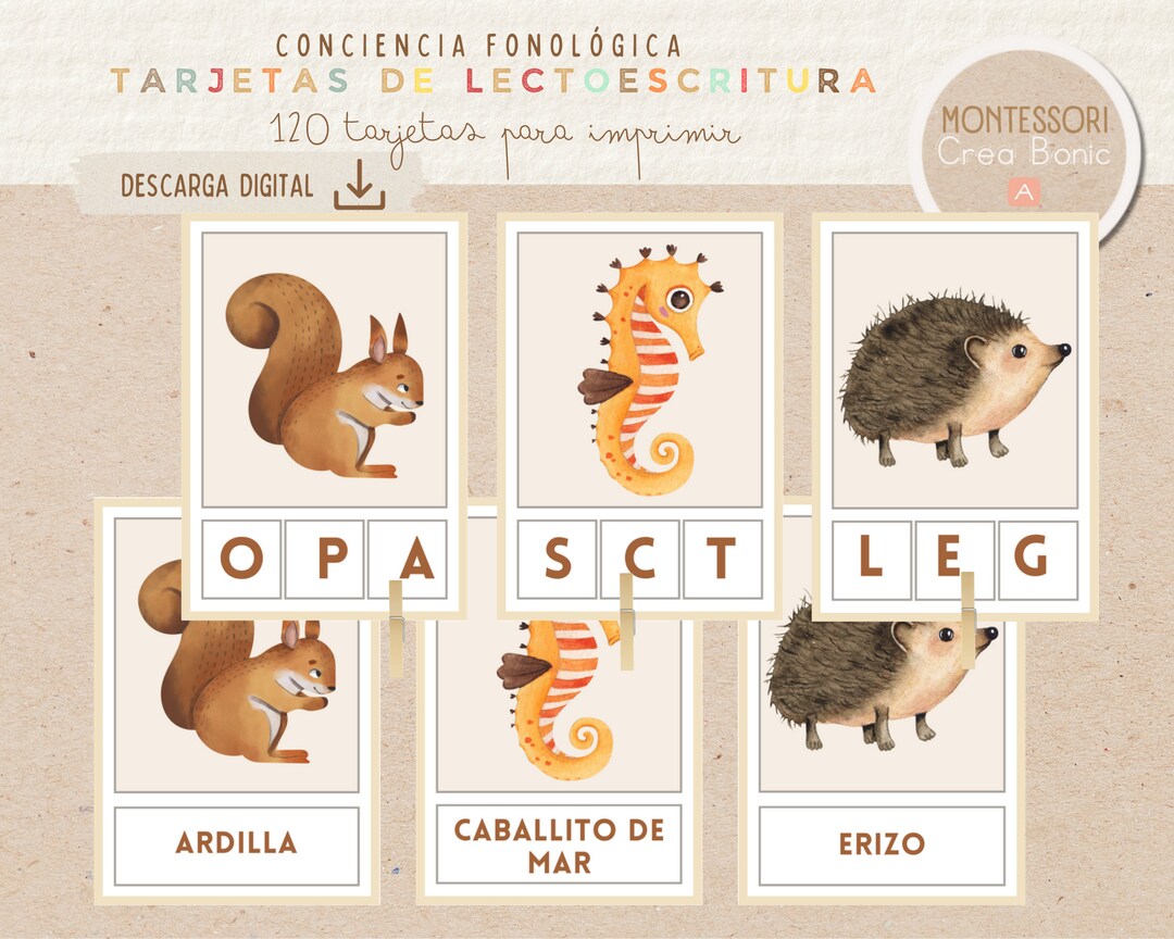 Tarjetas Educativas Animales Conciencia Fonológica Lectura y ...