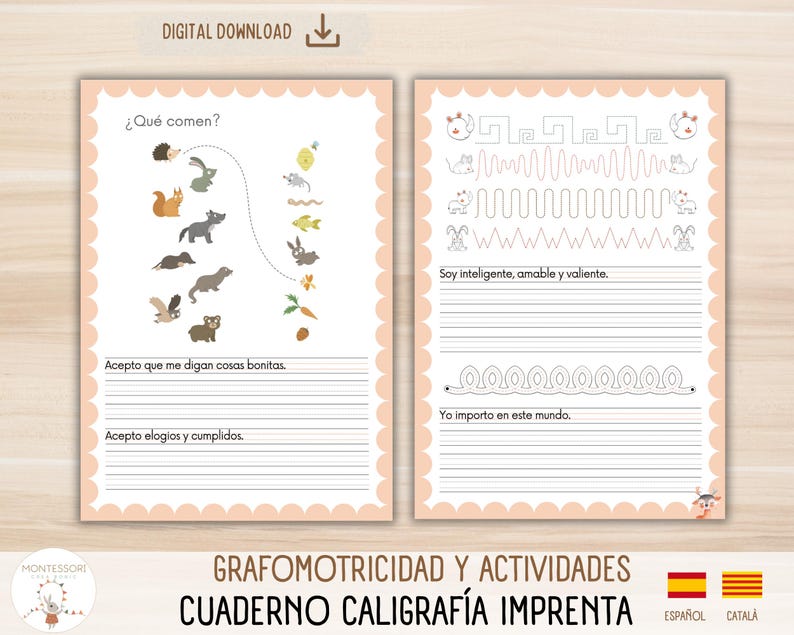 Calligraphy and Graphomotor Skills Workbook in Print. Activities for ...