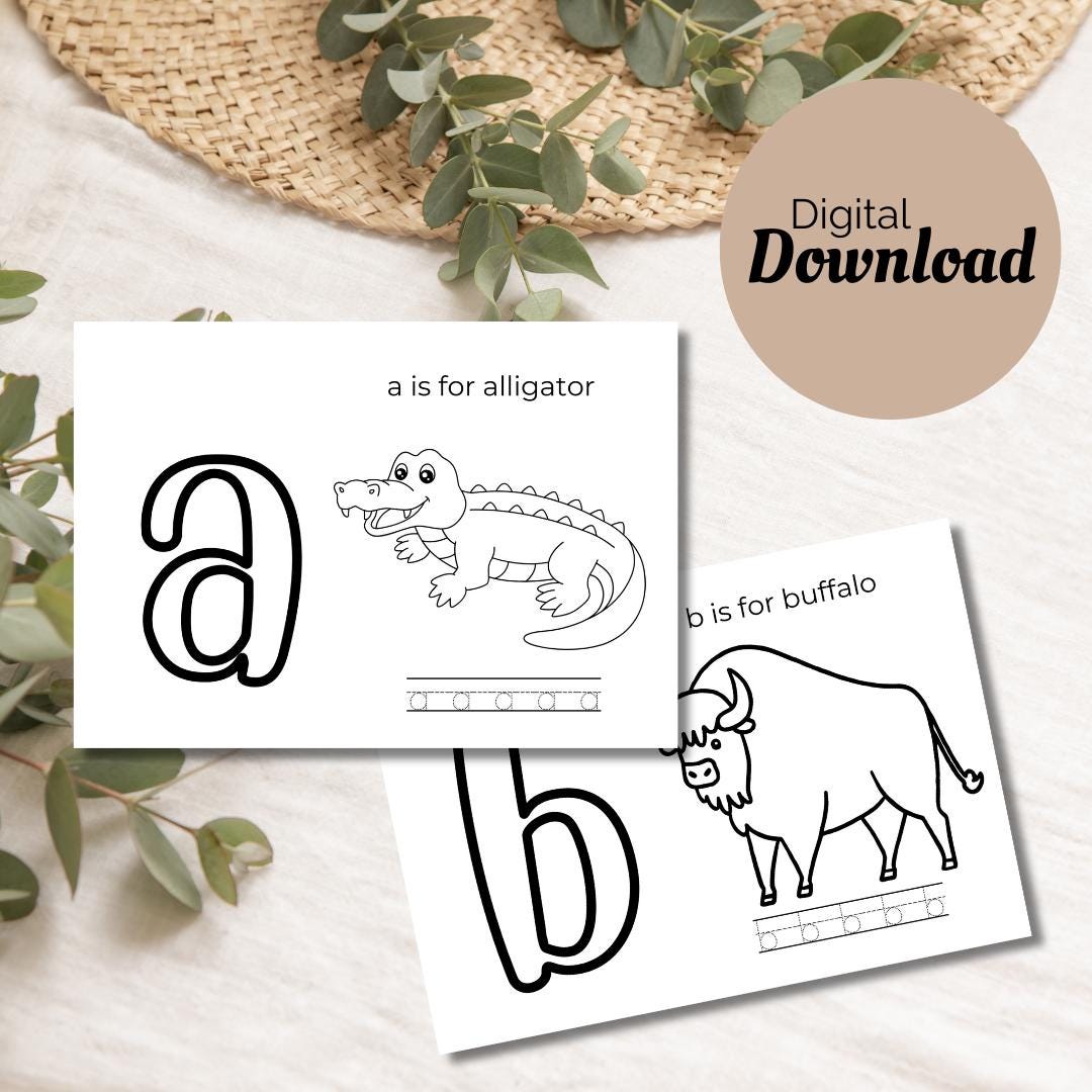 Lower Case Tracing Alphabet Letter Tracing Alphabet Learning Homeschool ...