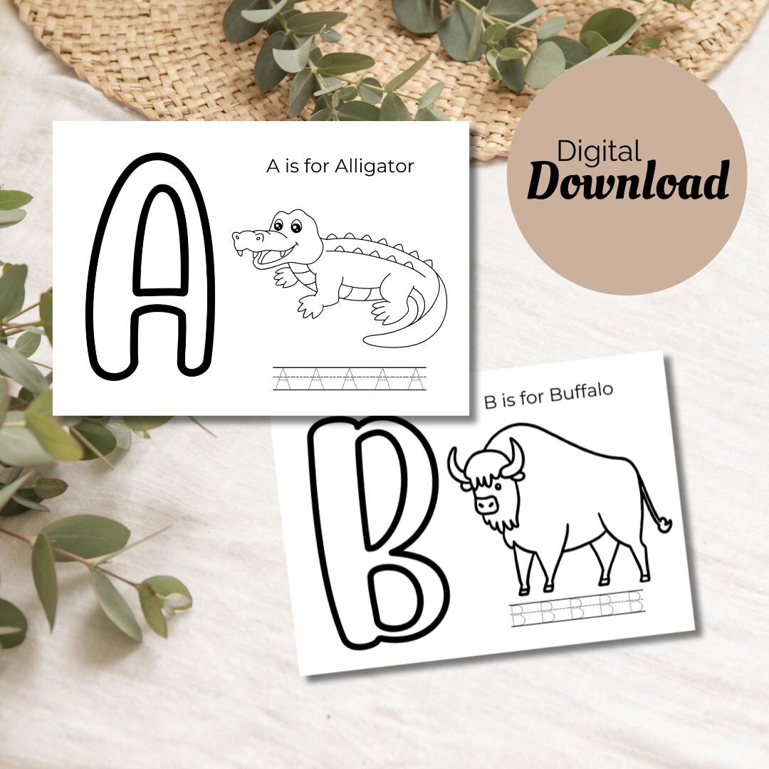 Alphabet Tracing Letters | Tracing Letters | Learning the Alphabet ...