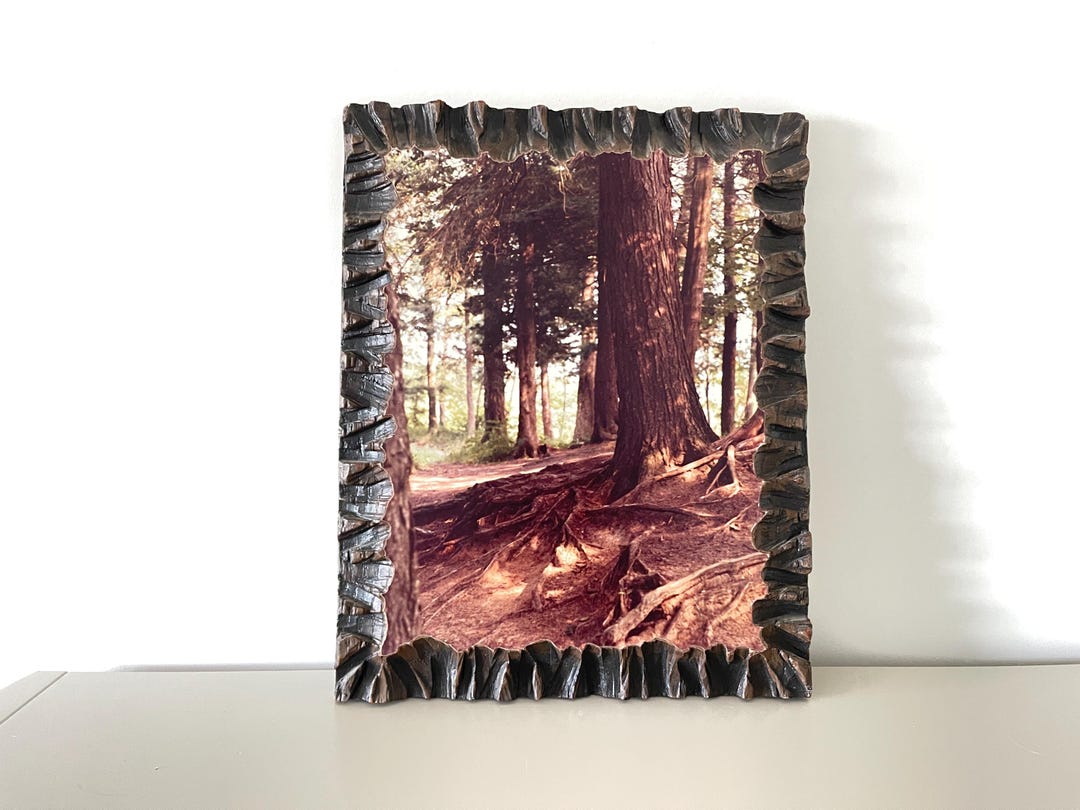 VTG, Laminated Photo With Plaster Faux Live Edge Wood Frame - Winter ...