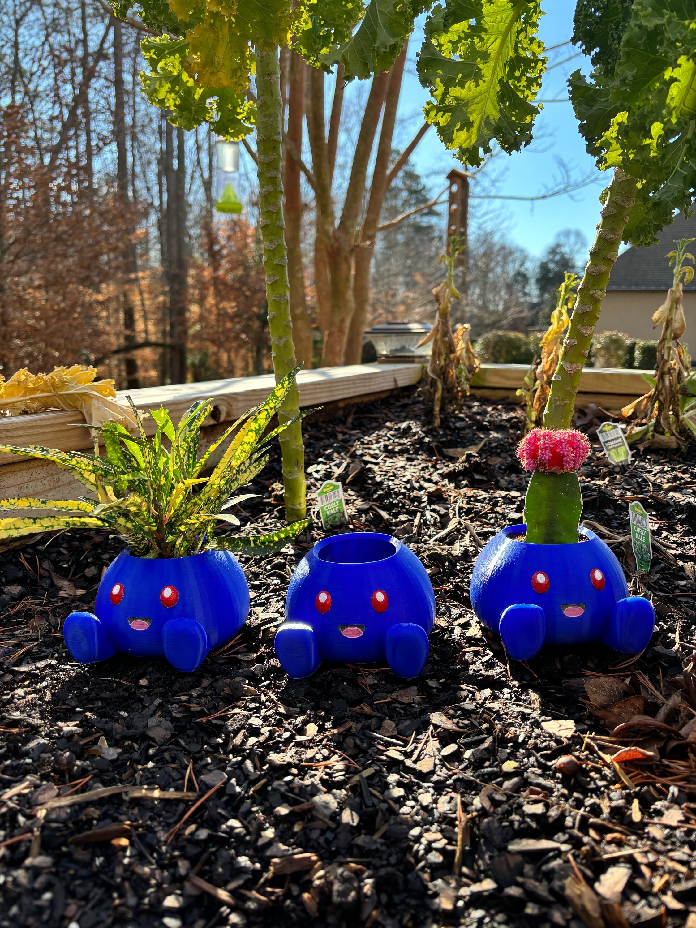 Pokemon Oddish Planter / Pokemon Planter / Small Plant, Succulant Plant ...