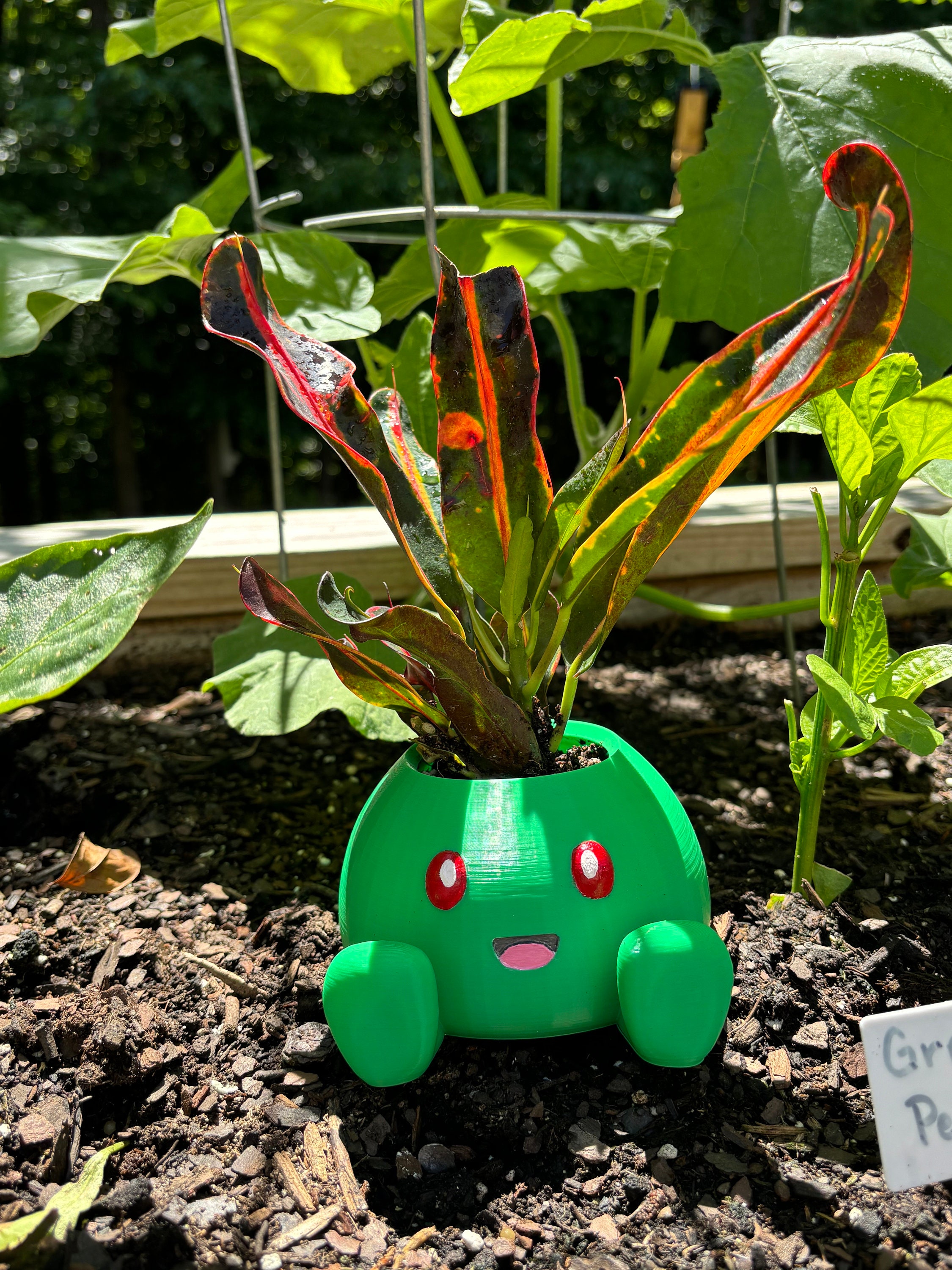 Pokemon Oddish Planter / Pokemon Planter / Succulant Plant, Snake Plant ...
