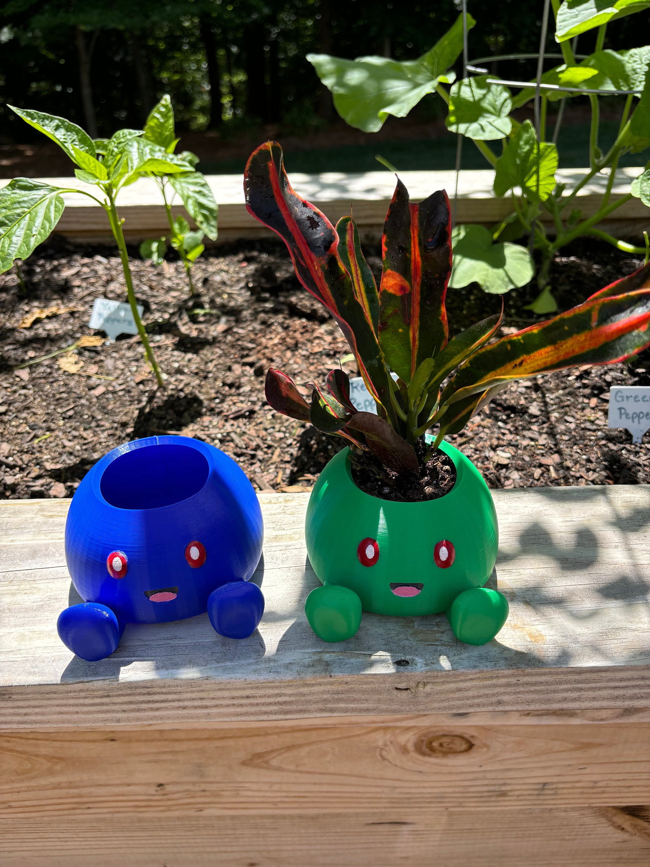 Pokemon Oddish Planter / Pokemon Planter / Succulant Plant, Snake Plant ...