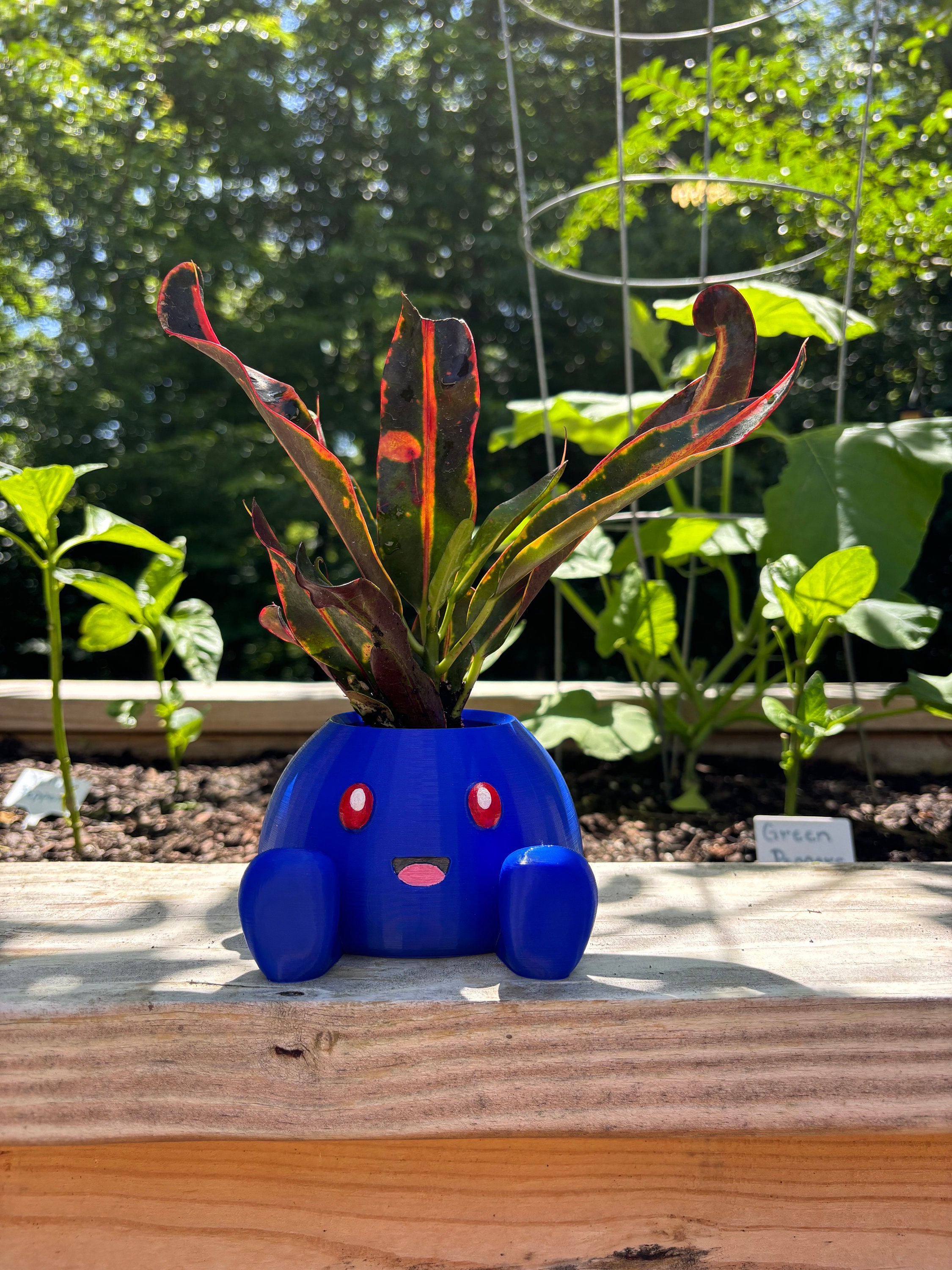 Pokemon Oddish Planter / Pokemon Planter / Succulant Plant, Snake Plant ...