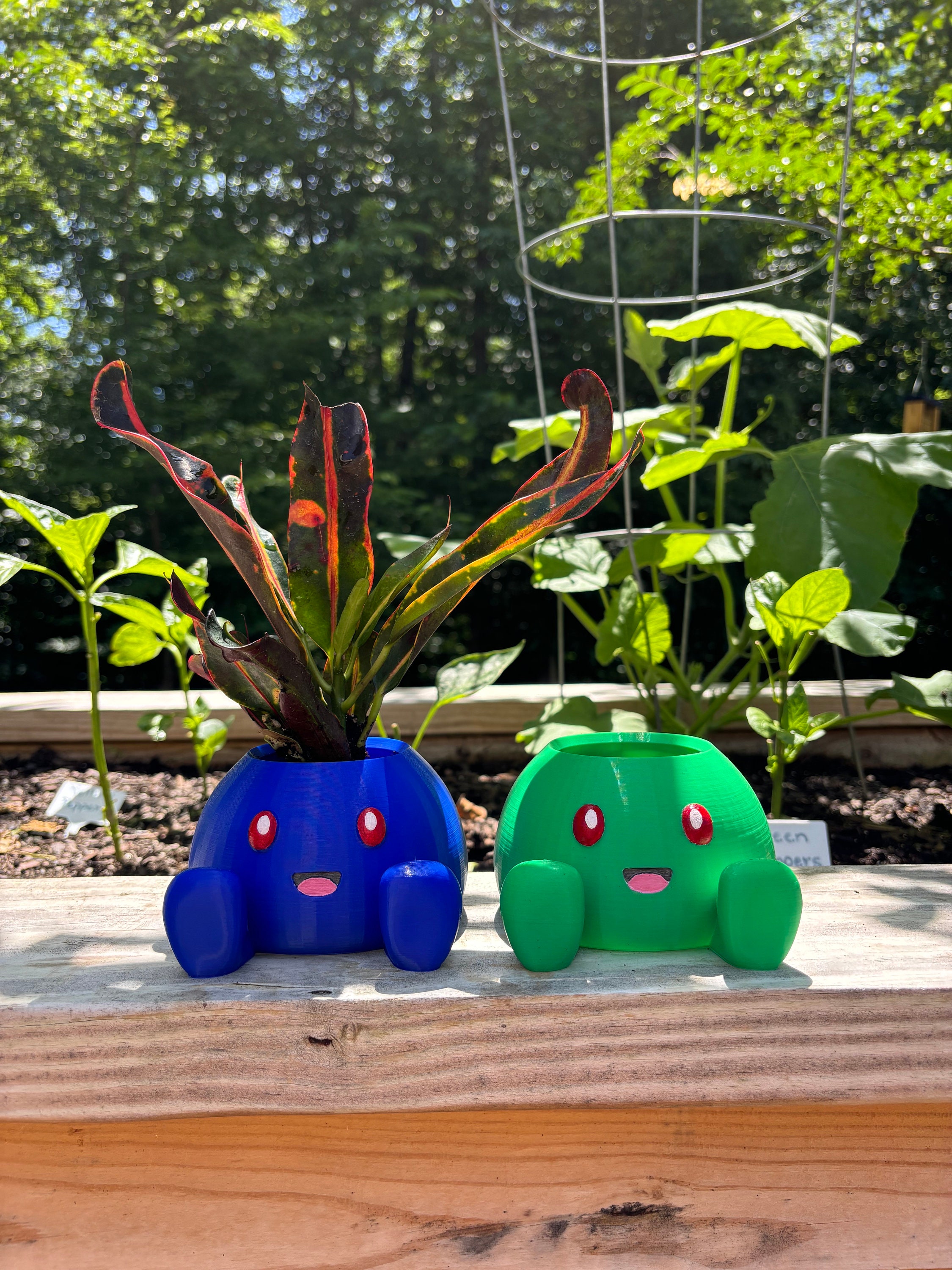 Pokemon Oddish Planter / Pokemon Planter / Succulant Plant, Snake Plant ...