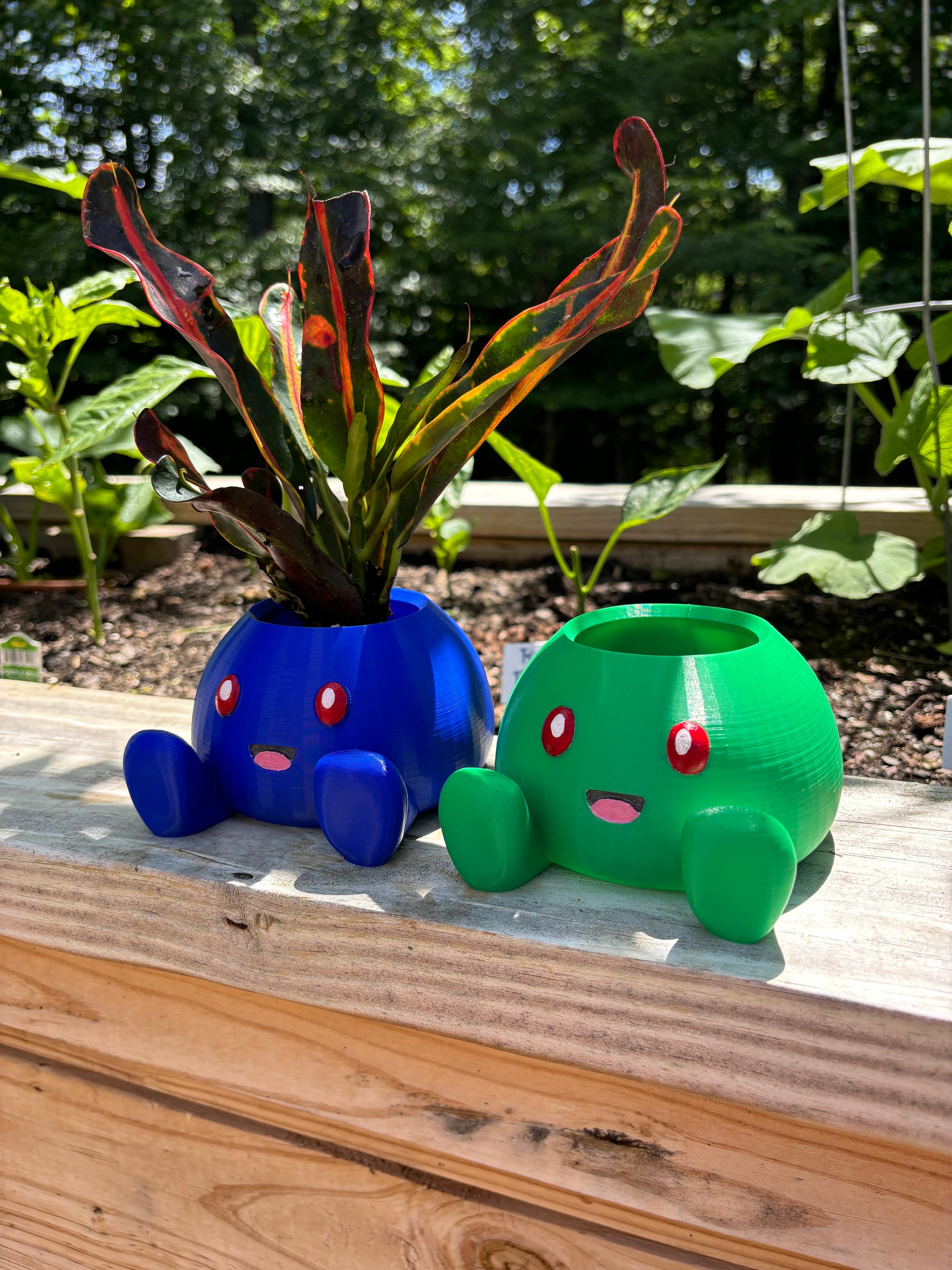 Pokemon Oddish Planter / Pokemon Planter / Succulant Plant, Snake Plant ...