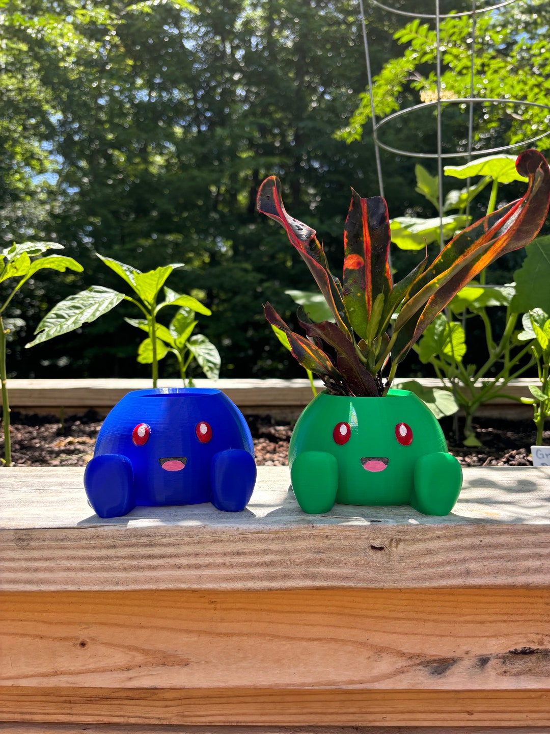 Pokemon Oddish Planter / Pokemon Planter / Succulant Plant, Snake Plant ...