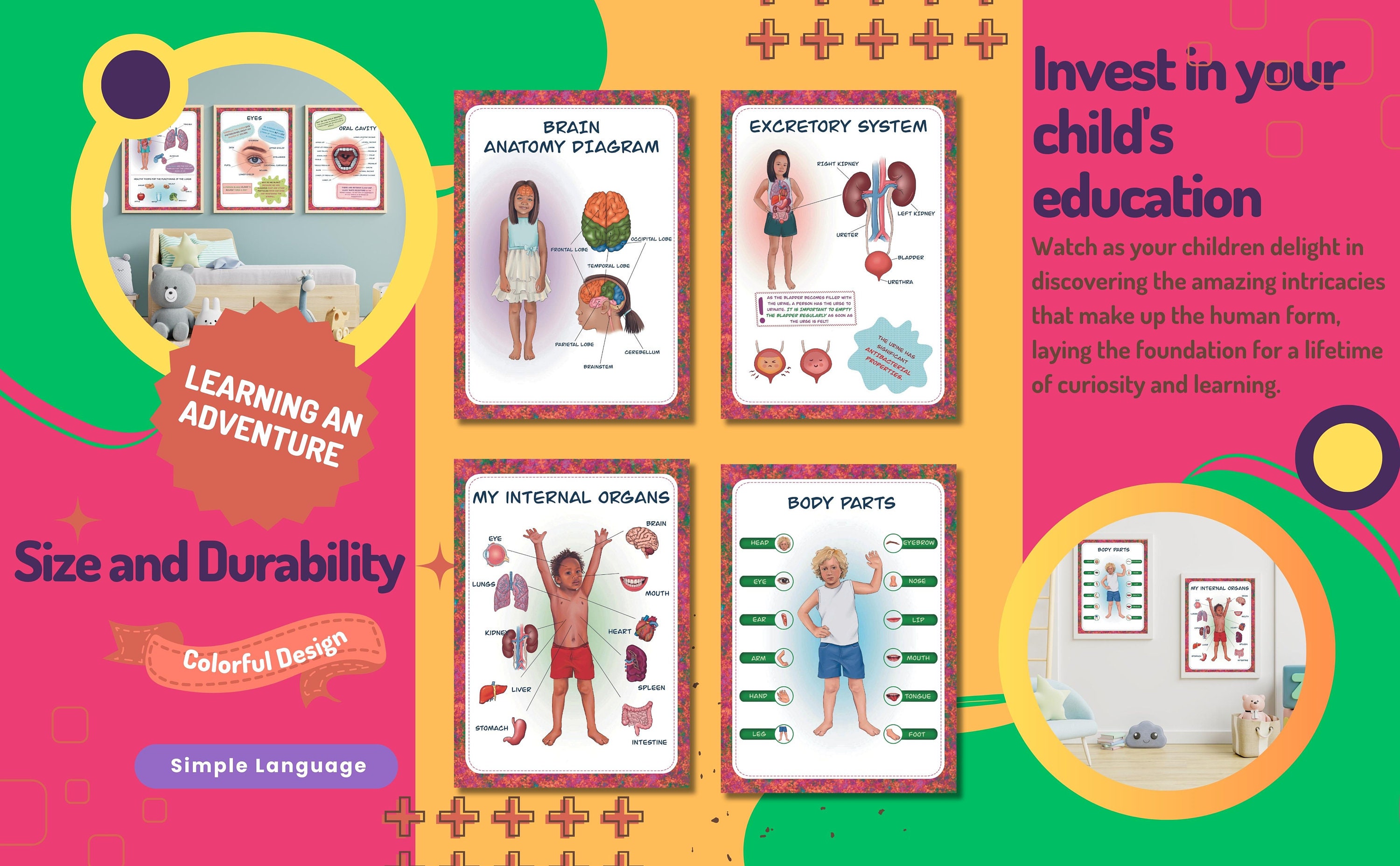 Human Anatomy Printable Preschool Busy Book Worksheets Anatomy ...