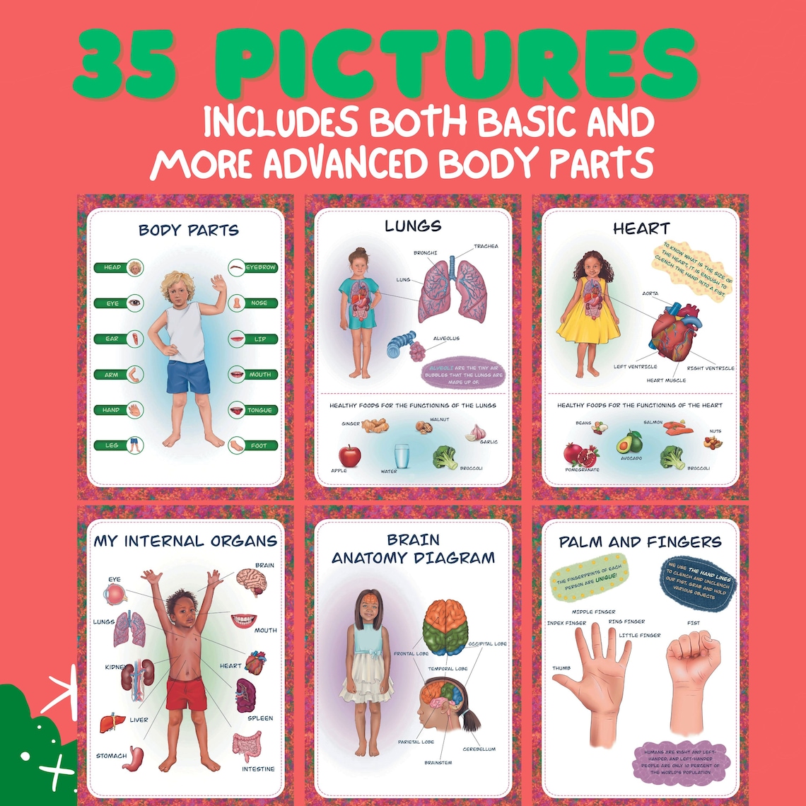 Human Anatomy Printable Preschool Busy Book Worksheets Anatomy ...