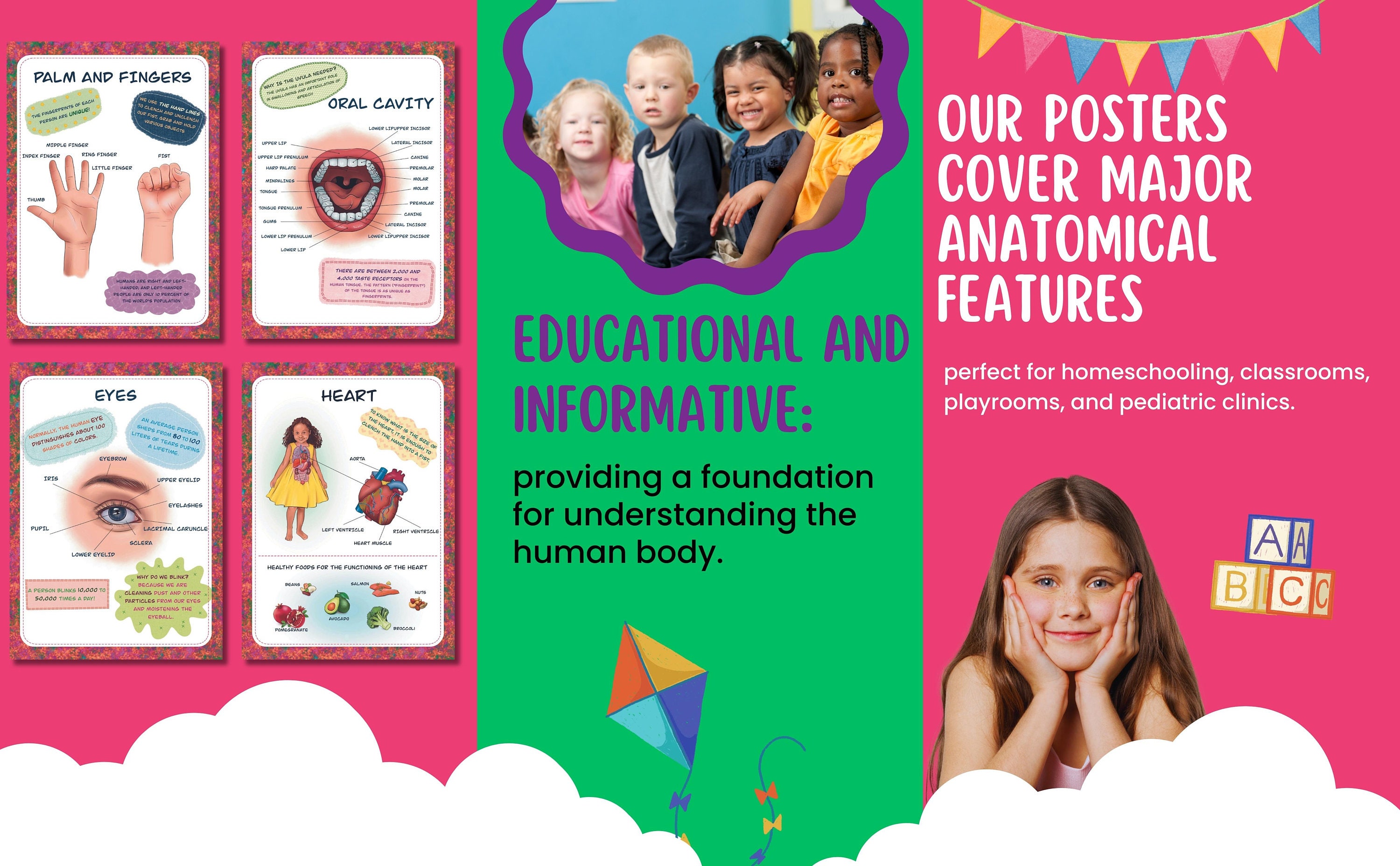 Human Anatomy Printable Preschool Busy Book Worksheets Anatomy ...