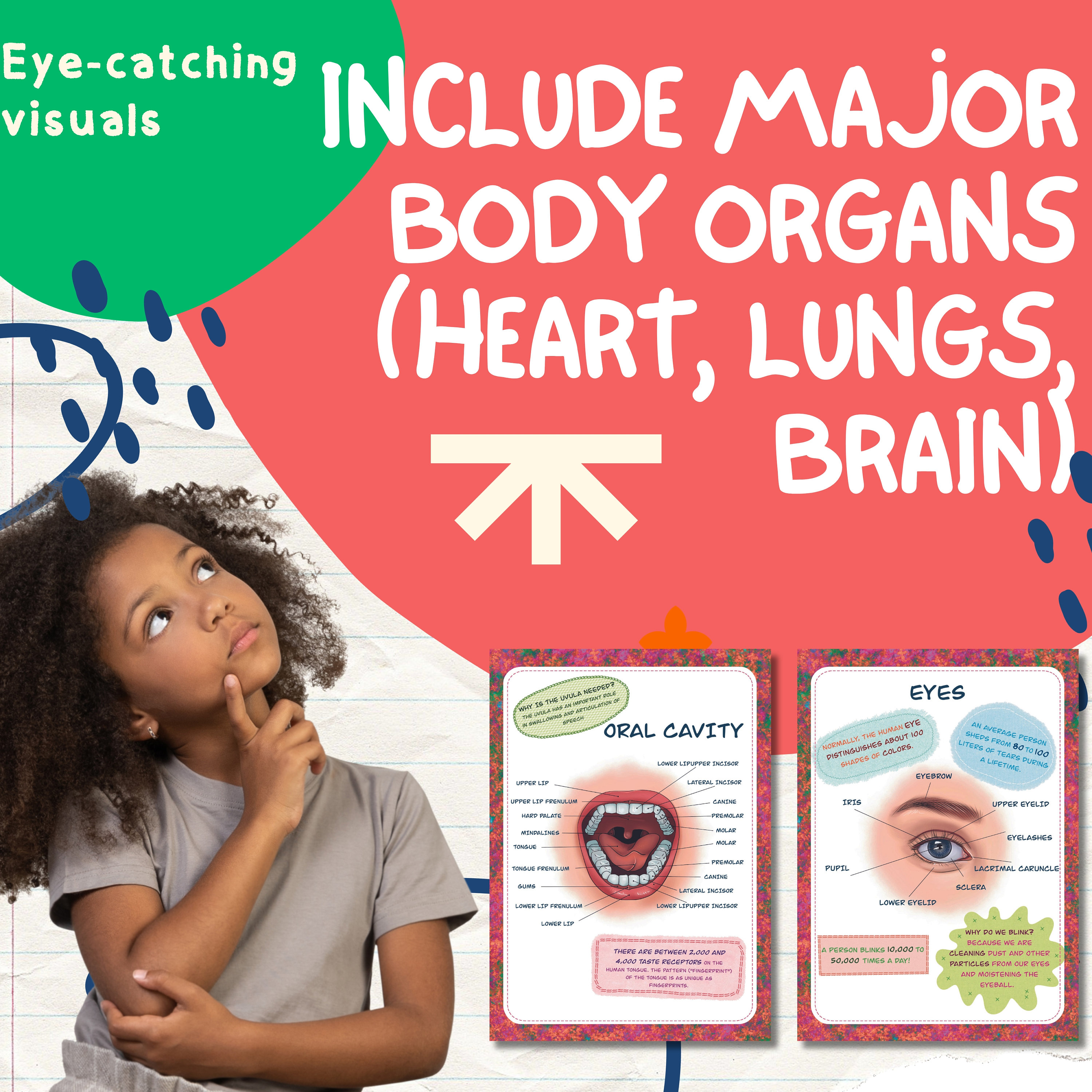 Human Anatomy Printable Preschool Busy Book Worksheets Anatomy ...