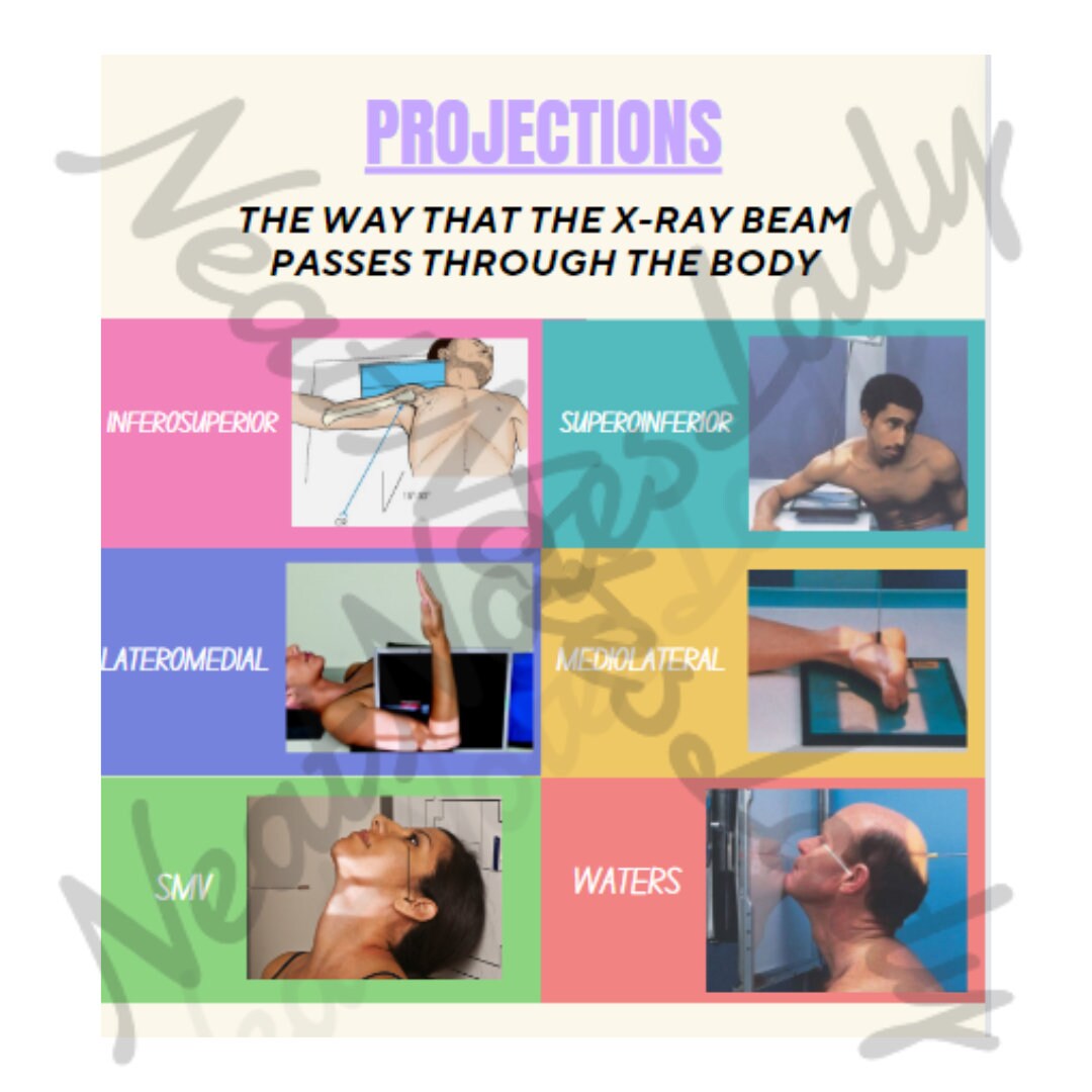 Intro to Body Positioning and Projections - Etsy