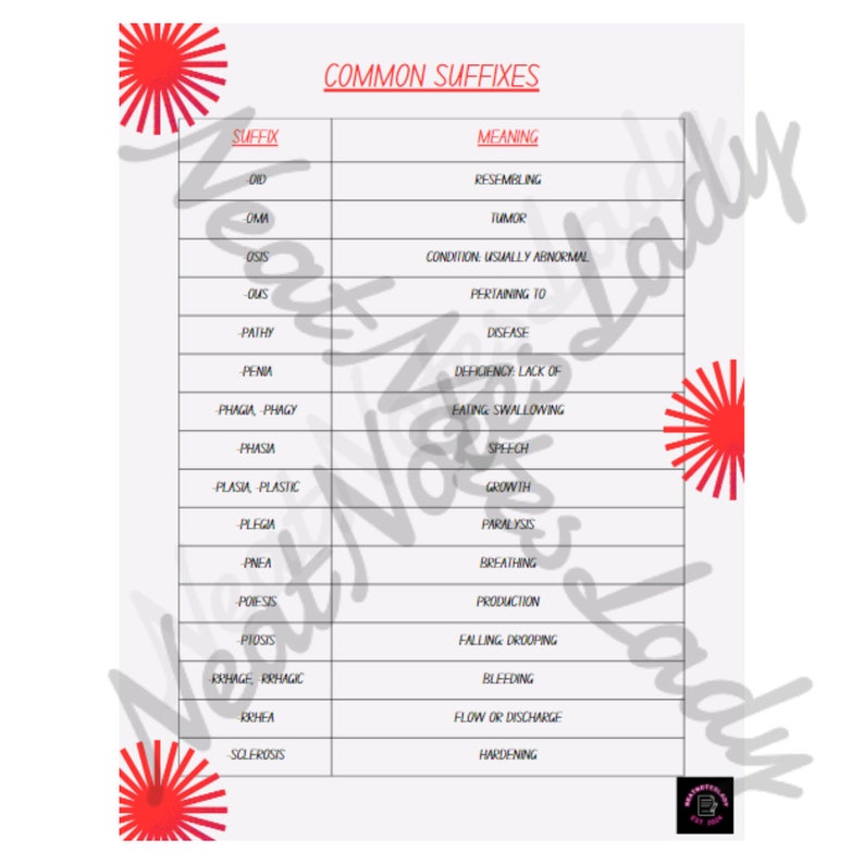 Medical Prefixes and Suffixes - Etsy