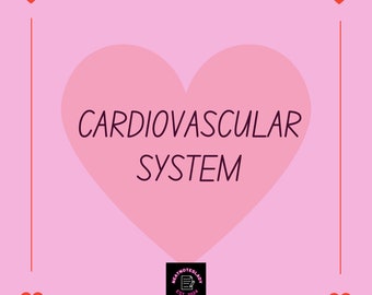 The Cardiovascular System Study Guide - Etsy