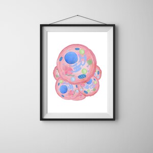 Watercolor Cell Biology Digital Wall Art Print - Etsy