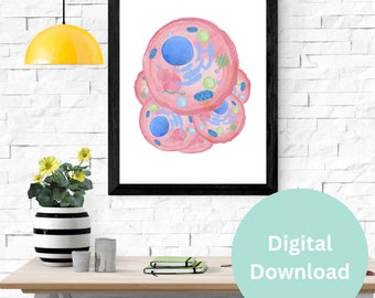 Plant Cell Cross Section Poster, Science Art, Wall Decor, Microbiology ...