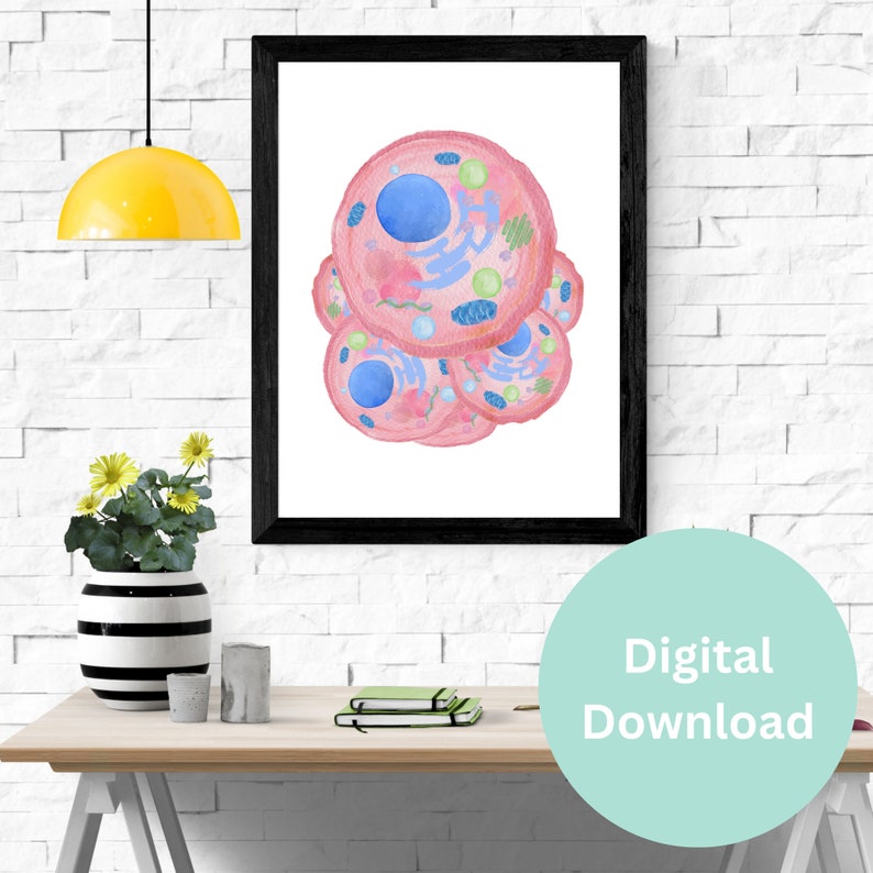Watercolor Cell Biology Digital Wall Art Print - Etsy