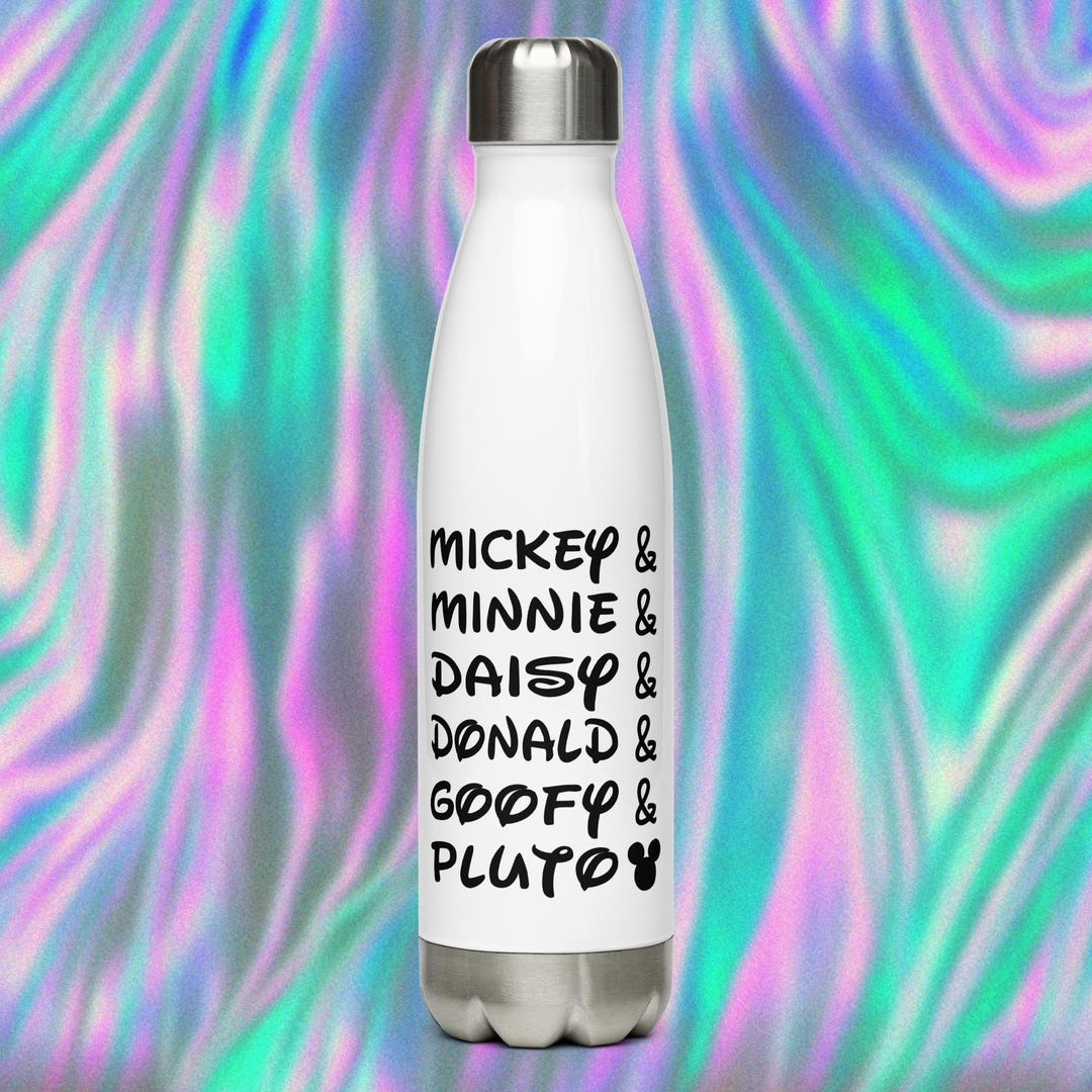 Mickey & Friends Character Line-up Bottle Disney Fan Stainless Steel ...